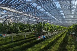 Automatización de Procesos de Montaje - Mondragon Assembly